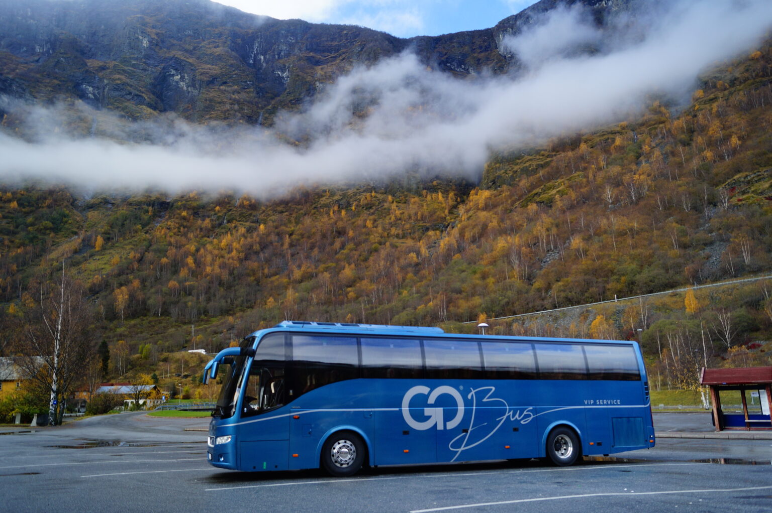 GO BUS I Offers high-quality public transport services