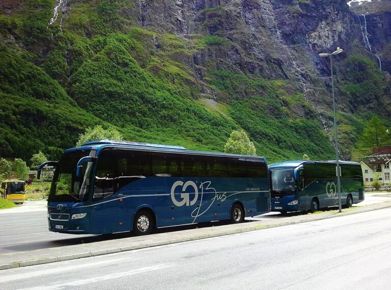 GO BUS I Offers high-quality public transport services